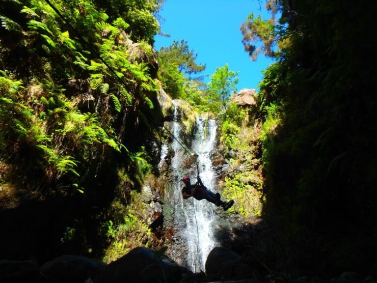 Beginner Canyoning Madeira - Why It Offers Great Value