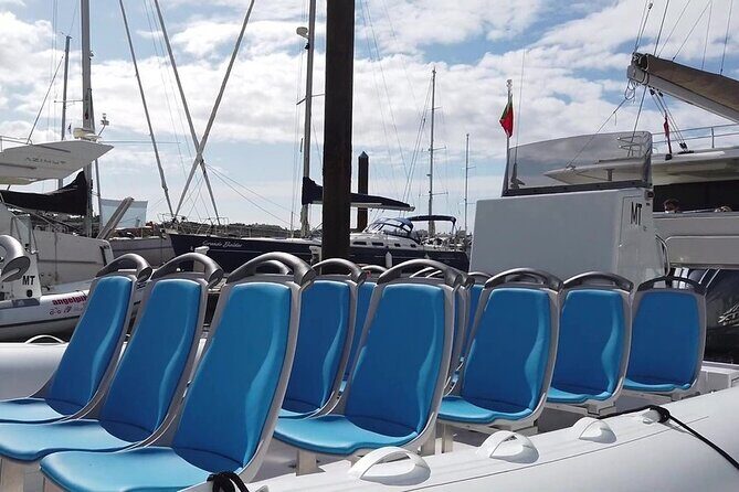 Benagil Caves Visit with Dolphins Watching from Albufeira - Who Should Book This Tour?