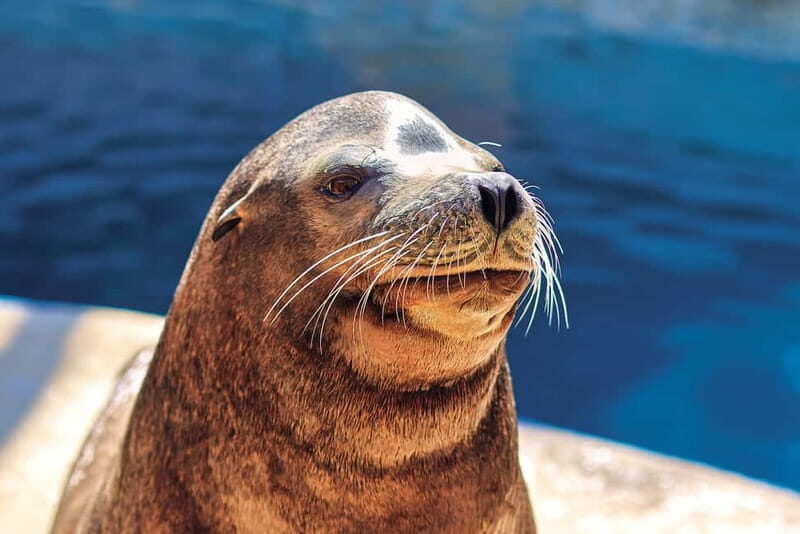 Benidorm: Mundomar Animal Park Entrance Ticket - What Reviewers Say