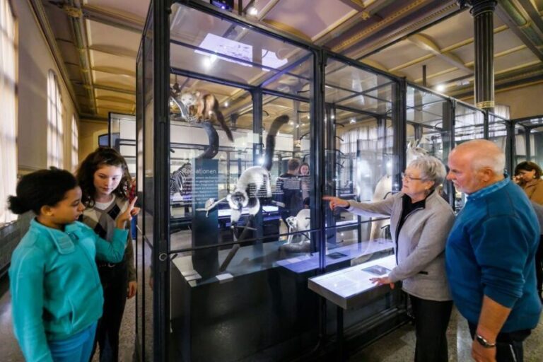 Berlin: Natural History Museum Entrance Ticket - Who Will Love This Experience?