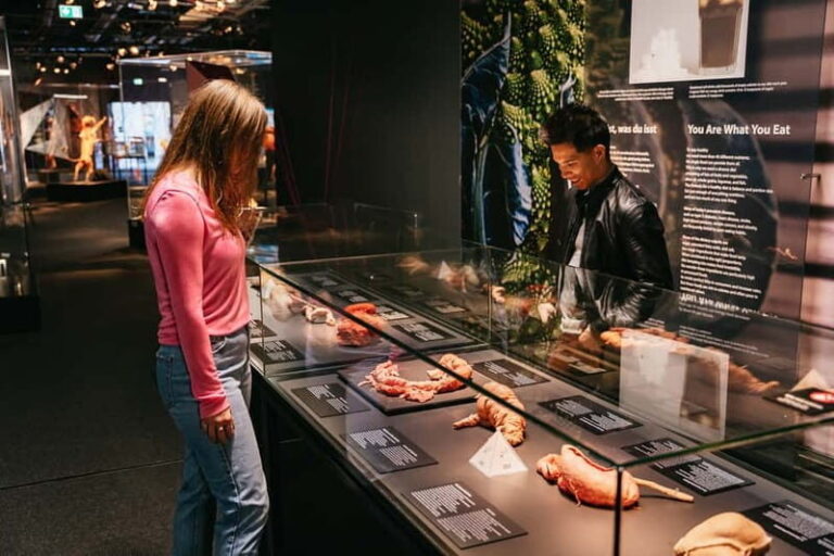 Berlin: Tickets for the BODY WORLDS Museum in Berlin - The Exhibits and Their Impact