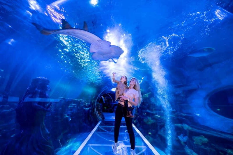Birmingham: National Sea Life Centre Entrance Ticket - Final Thoughts: Is It Worth It?