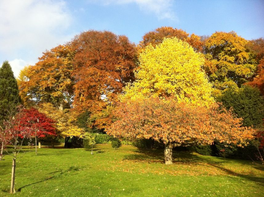 Birmingham: Winterbourne House and Garden Admission Ticket - Practical Details: Visiting Winterbourne House & Garden