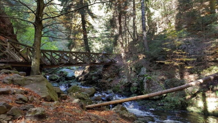 Black Forest: Ravenna Gorge Hike, Self-Guided - Who Is This Tour Best For?