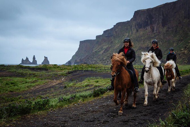 Black Sand Beach Horse Riding Tour from Vik - What Travelers Say