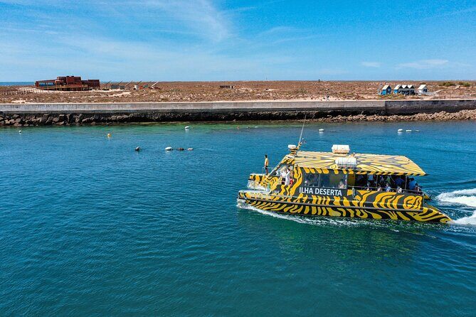 Boat trip from Faro to Ilha Deserta by Ferry - Practical Tips & Final Thoughts