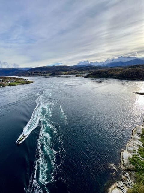 Bodø: Saltstraumen RIB Safari - What We Love About This Tour