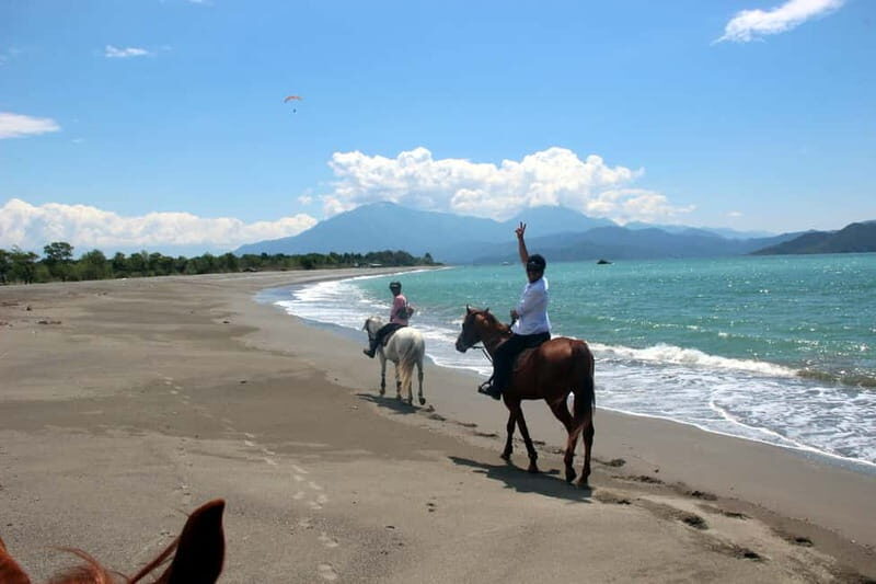 Bodrum: Horseback Riding Experience with Hotel Transfer - What to Expect During the Tour