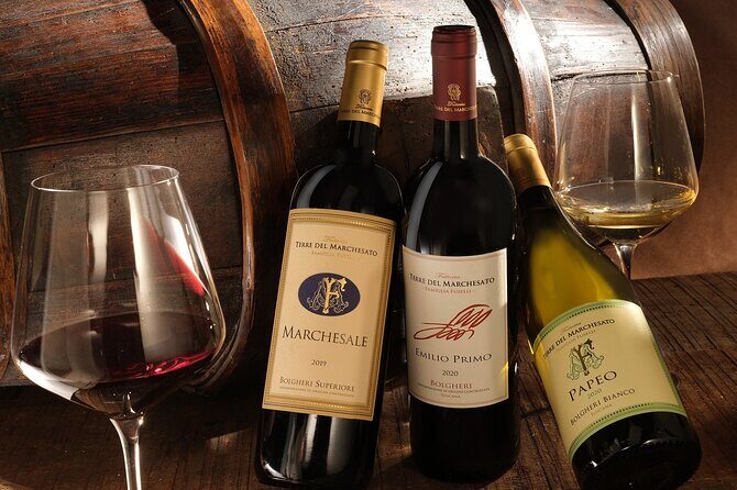 Bolgheri: Classic Wine Tasting with Winery Tour - The Experience in Practice