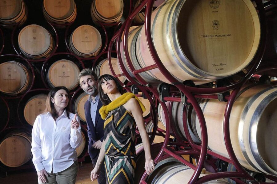 Bolgheri: Winery Tour with Wine Tasting - FAQs