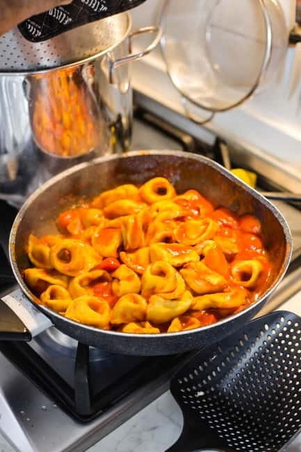 Bologna: 3 Pastas, Tiramisu and Unlimited Wine Tasting - The Value for Money