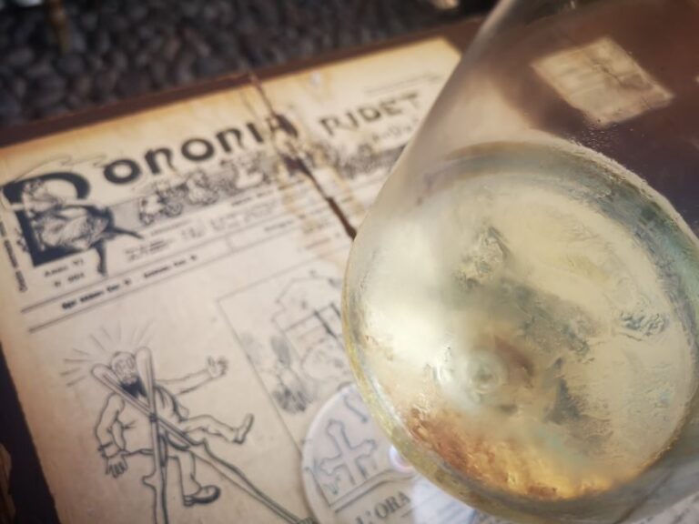 Bologna: City Center Guided Wine Walking Tour - Why This Tour Works So Well