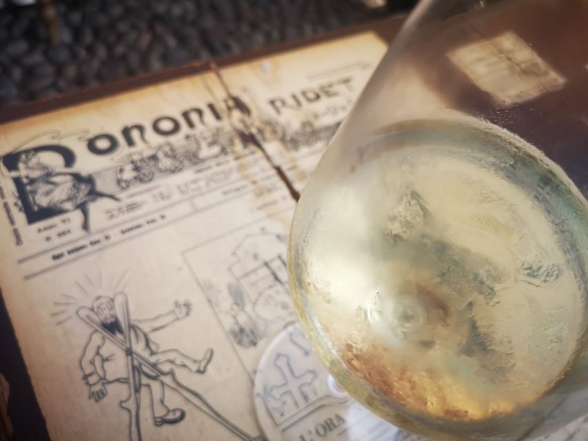 Bologna: City Center Guided Wine Walking Tour - Why This Tour Works So Well