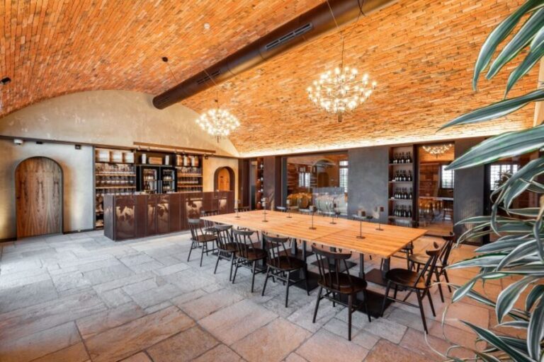 Bologna: Olive Grove and Vineyard Tour with Product Tastings - What to Expect from the Tour