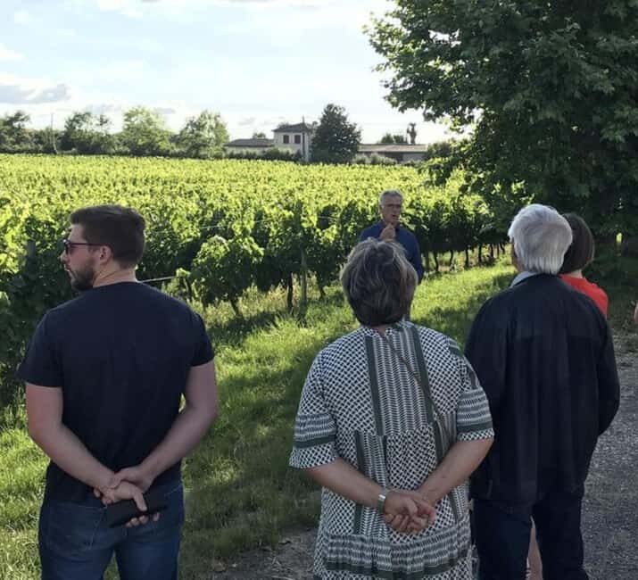 Bordeaux: Explore an Organic Family Vineyard with Tasting - Introduction: A Genuine Bordeaux Experience