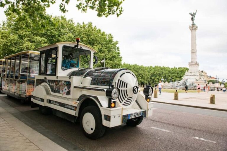 Bordeaux: Little Electric Train Tour - Who Will Love This Tour?