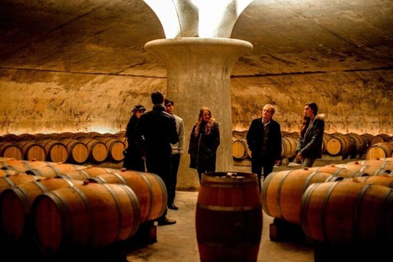 Bordeaux: St-Emilion and Medoc Wine Day Tour with Lunch - Who Should Consider This Tour?