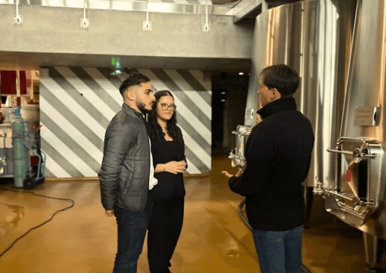 Bordeaux : Unforgettable Saint Emilion Half Day Wine Tour - The Itinerary Breakdown