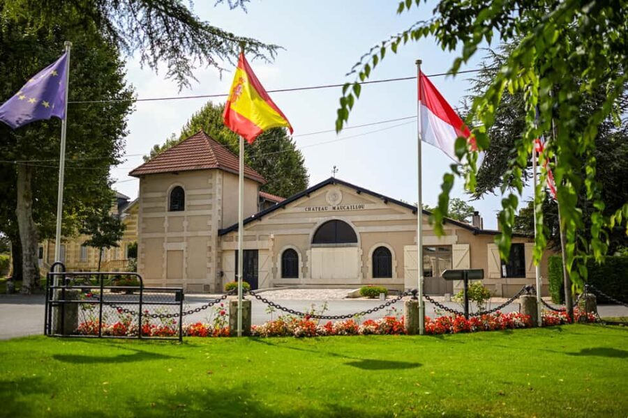 Bordeaux: Vineyards Wine Tasting Half-Day Trip - Who Should Consider This Tour?