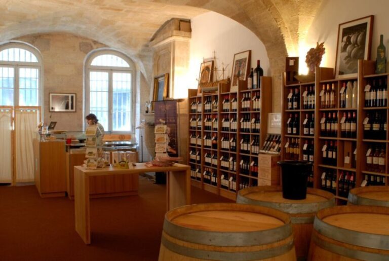 Bordeaux: Wine and Trade Museum Entry Ticket & Wine Tasting - The Vineyard Presentation and Guided Tasting