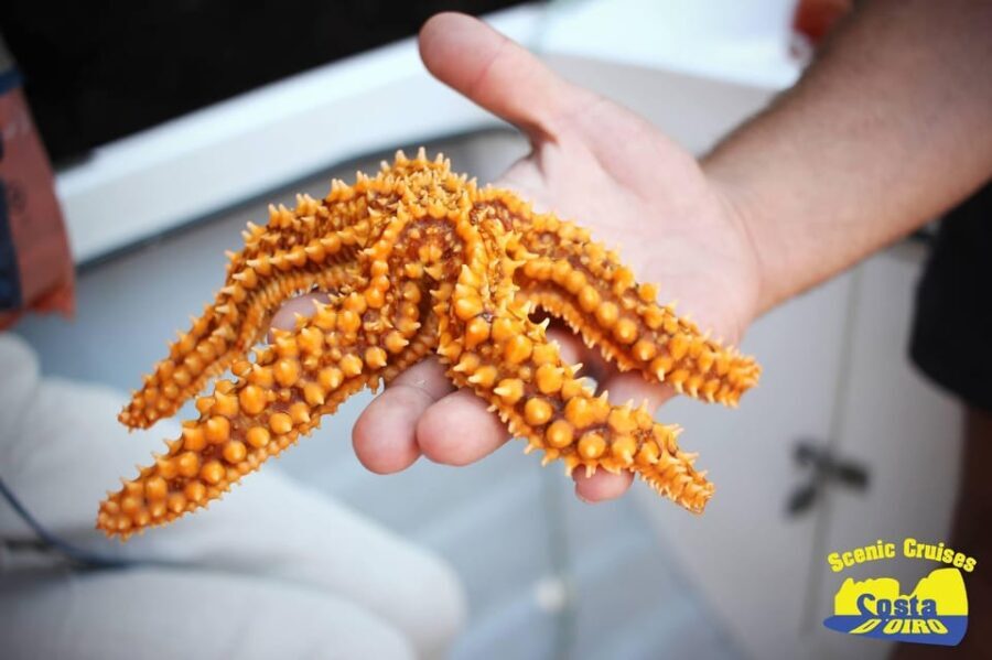 Bottom Fishing Lagos - The Experience: What to Expect on Your Lagos Bottom Fishing Trip