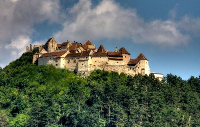 Brasov: Bear Sanctuary, Dracula Castle, and Rânov Fortress - The Logistics and Travel Experience