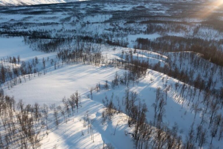 Breivikeidet: Cross-Country Skiing & Husky Visit - The Skiing Experience — Embracing the Arctic