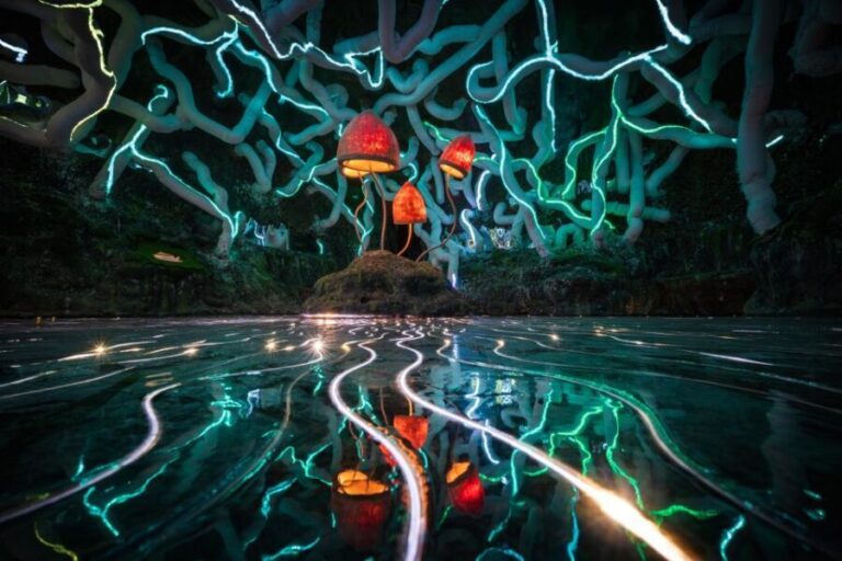 Bristol: Wake The Tiger Amazement Park Entry Ticket - Authentic Insights from Visitors