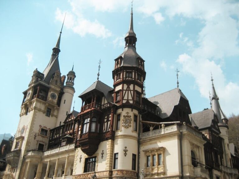 Bucharest: Dracula's Castle, Pele Castle & Braov Day Trip - Practical Aspects of the Tour