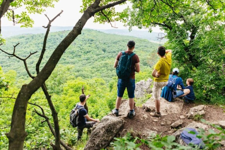 Budapest: Buda Hills Guided Hiking Tour with Optional Lunch - An In-Depth Look at the Buda Hills Guided Hiking Tour