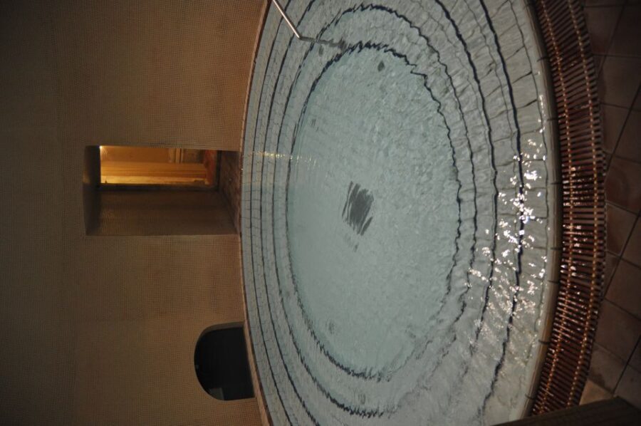 Budapest: Lukács Thermal Bath Full-Day Spa Ticket - Thermal Waters and Treatments