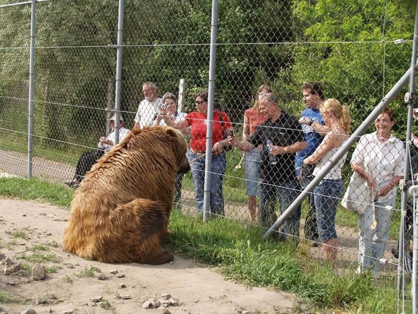 Budapest: Transport & Guided Tour of Bear and Wolf Sanctuary - Why This Tour Works Well