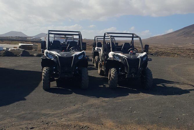 Buggy 3h Guided tour of the north of Lanzarote - Is This Tour Worth the Price?