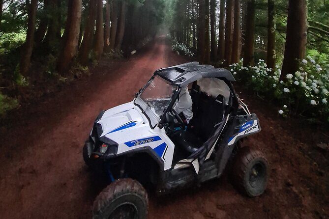 BUGGY TOUR - West / Center of the island (off-road) - The Terrain, Views, and Unique Experiences