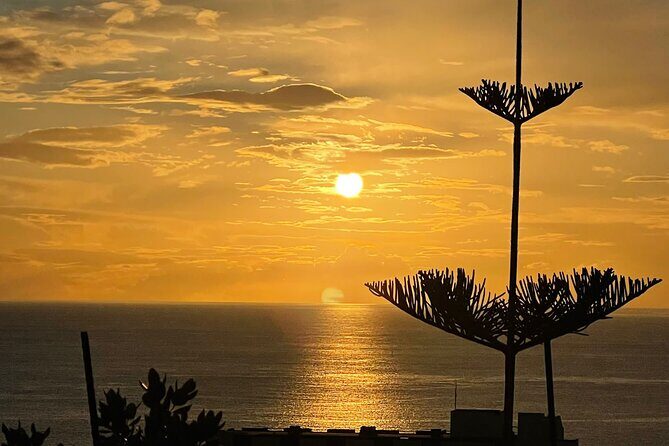 CABO GIRÃO (Half Day tour/3h) / Private Classic Car (4L). - What to Expect From the Experience