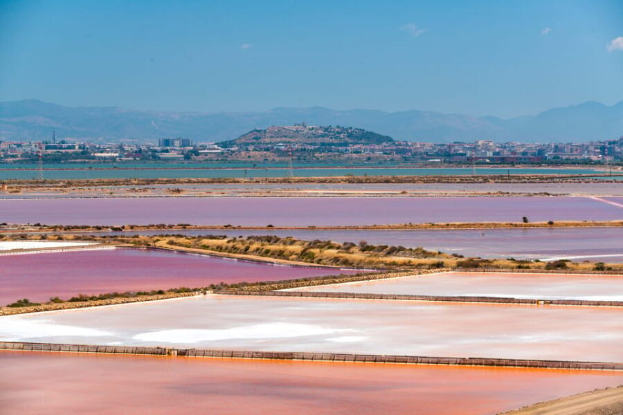 Cagliari: Conti Vecchi Salt Flats Train and Tour - Who Would Enjoy This Tour?