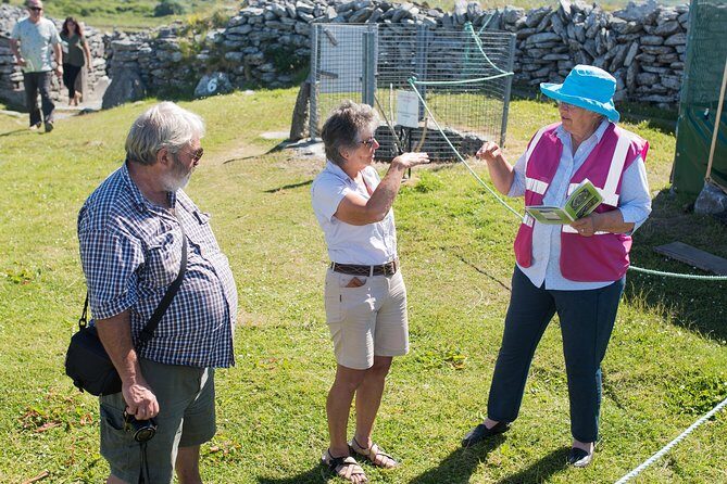 Caherconnell Fort & Sheepdog Demonstrations - A Closer Look at What You Can Expect