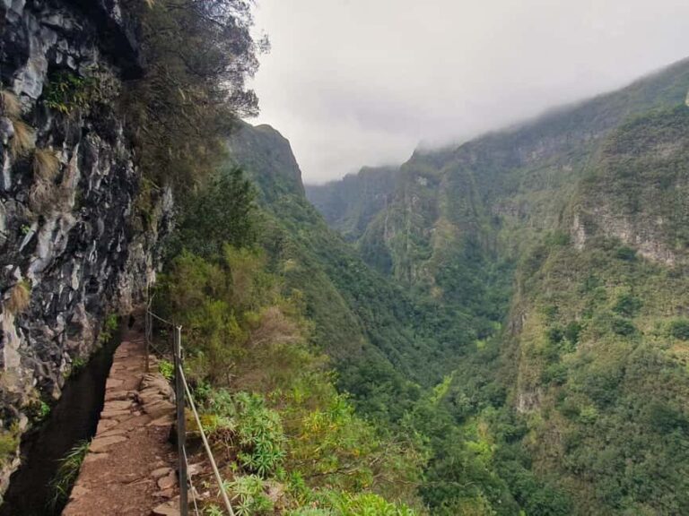 Caldeirão Verde: Levada Caldeirao Verde Hiking Transfer - Highlights of the Hike: Nature, Waterfalls, and Ancient Trees