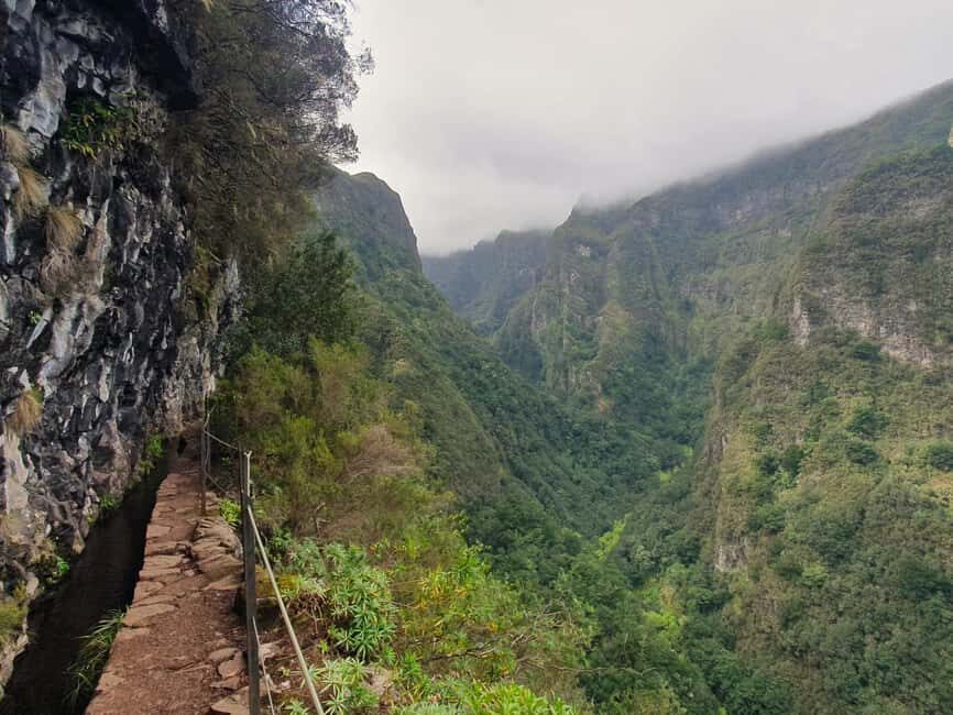 Caldeirão Verde: Levada Caldeirao Verde Hiking Transfer - Highlights of the Hike: Nature, Waterfalls, and Ancient Trees
