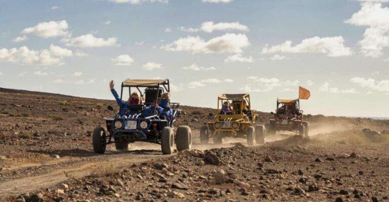 Caleta De Fuste: Guided Buggy Explorer Tour - What Makes This Tour Stand Out