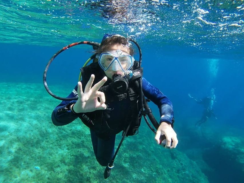 Calvi: Introduction to Diving Dive with an Instructor - Why This Tour Offers Great Value