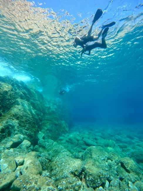 Calvi : Sortie snorkeling en bateau en bordure de réserve - Who Should Consider This Tour?