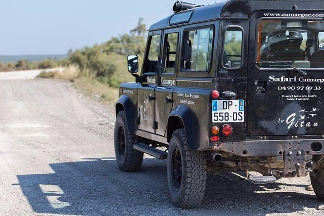 Camargue 4x4 Safari 2 hours Saintes Maries de la Mer - The Itinerary: What to Expect