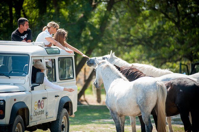 Camargue 4x4 Safari VIP Tour - Who Should Consider This Tour?