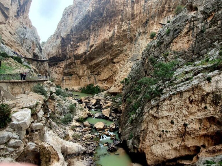 Caminito del Rey: Tour with Official Guide and Drink - Authentic Insights from Reviewers