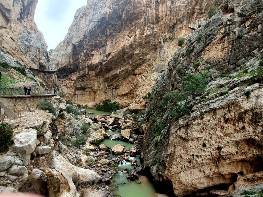 Caminito del Rey: Tour with Official Guide and Drink - Authentic Insights from Reviewers