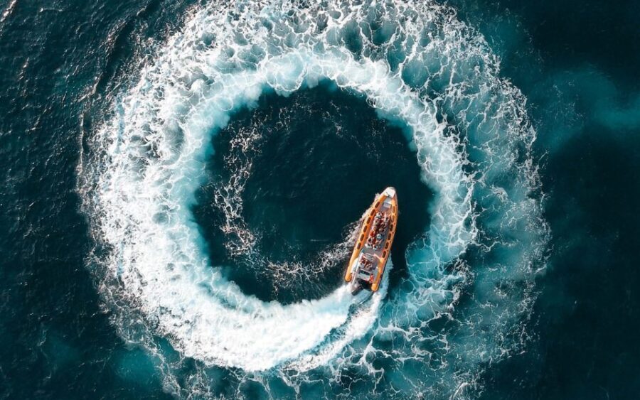 Can Picafort: Dolphin Watching Boat Tour, Swimming stop - What Reviewers Love (And What They Mentioned Less Fondly)