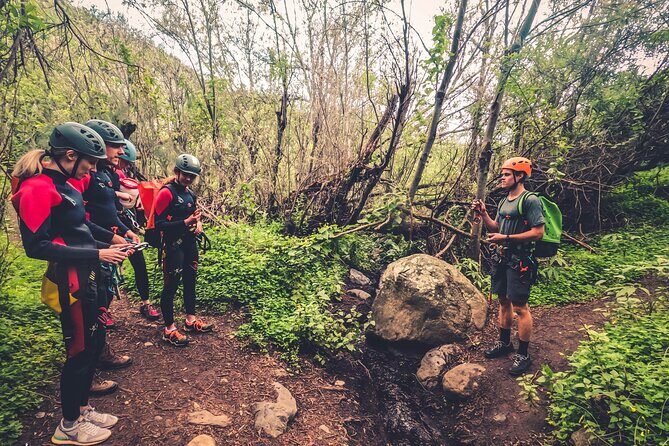 Canyoning with Waterfalls in the Rainforest - Small Groups - What Makes This Tour Stand Out?