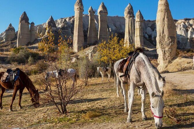 Cappadocia Horse Riding Experience Sunrise Sunset Daytime - In-Depth Breakdown of the Itinerary and Highlights