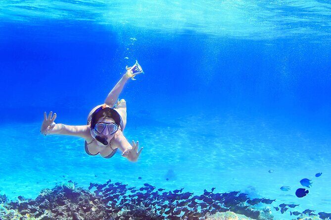 Capri Island Boat Tour from Amalfi with Snorkeling | Small Group - What You Can Expect from the Experience